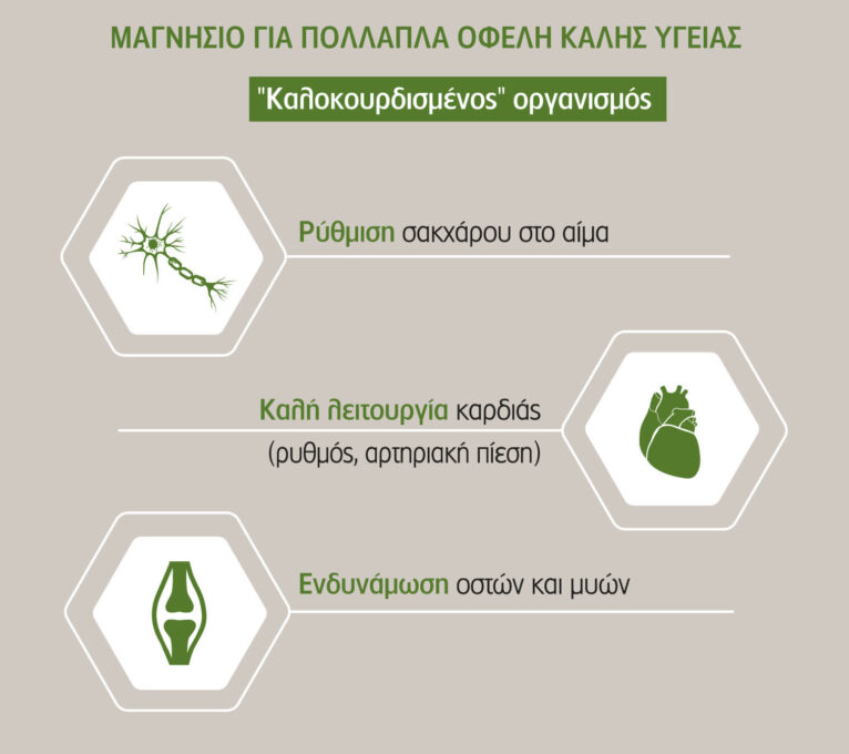 Μαγνήσιο: Τροφές που Ωφελούν τον Οργανισμό | FREZYDERM
